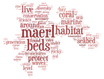 Maërl – Seabed Habitats
