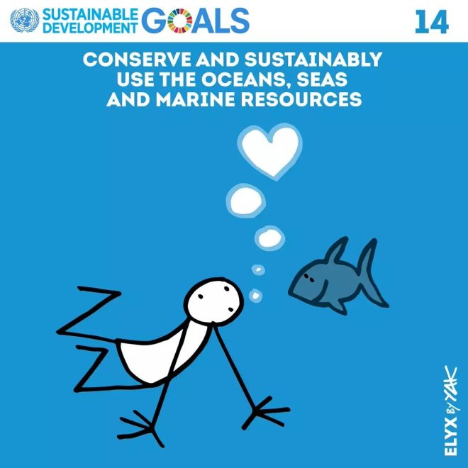 Life Below Water: Sustainable Development Goal 14 – Seabed Habitats